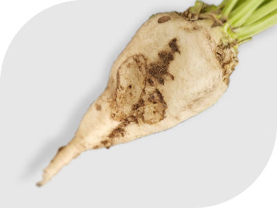 Betaine | Guide and info about ingredients in cosmetics