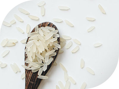 Hydrolyzed Rice | Guide and info about ingredients in cosmetics